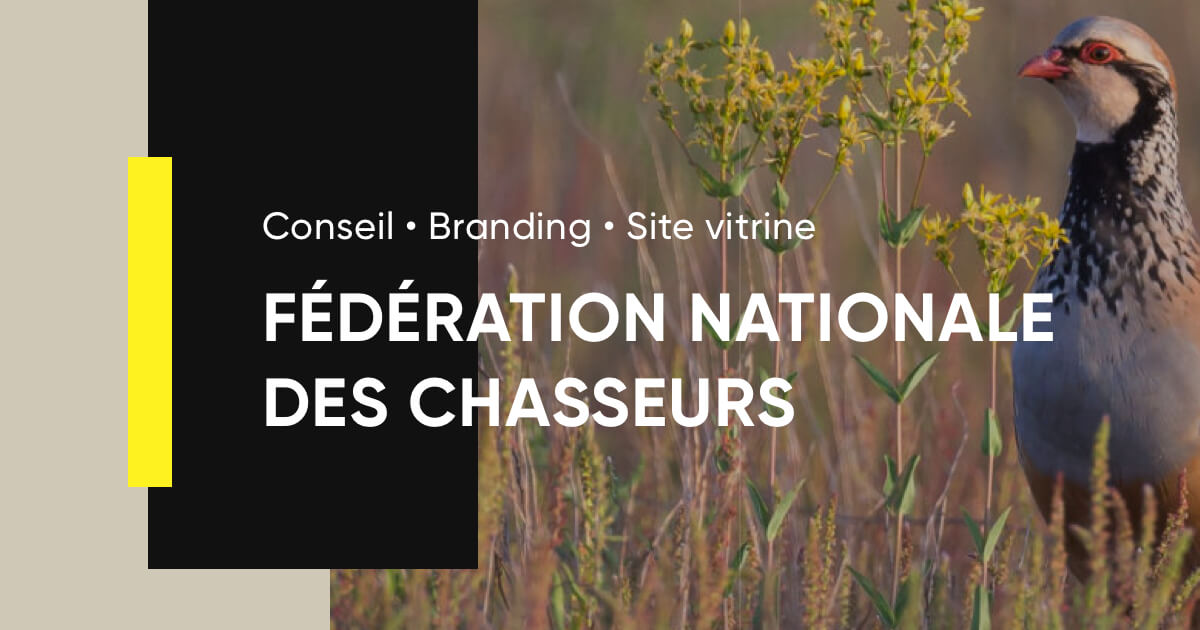 Fédération Des Chasseurs Identité Visuelle Refonte Du Site Web