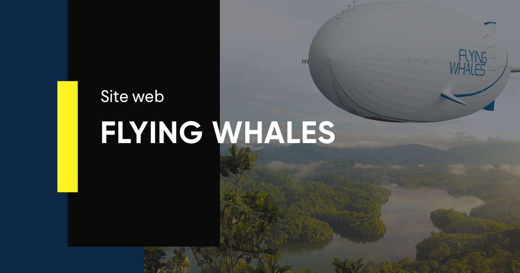 Flying Whales | Branding, refonte site web | Industrie aéronautique
